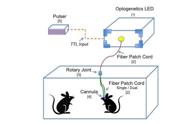 Prizmatix In-Vivo Optogenetics Toolbox